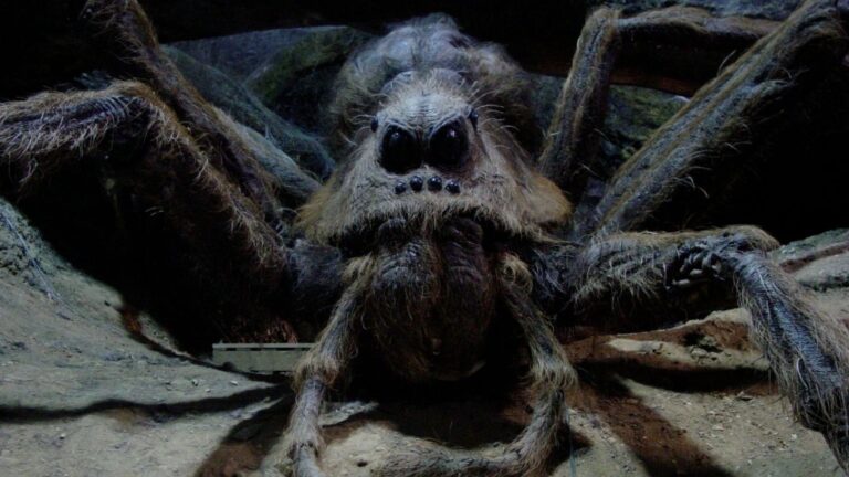 Quiz Sur Les Créatures Magiques Dans Harry Potter