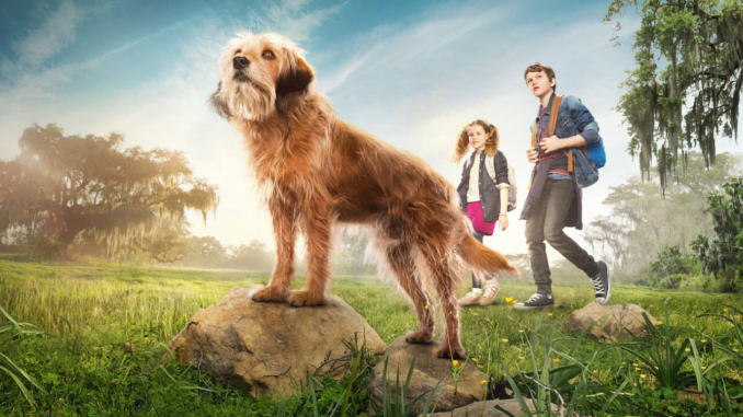 Les 26 meilleurs films avec des chiens trop mignons